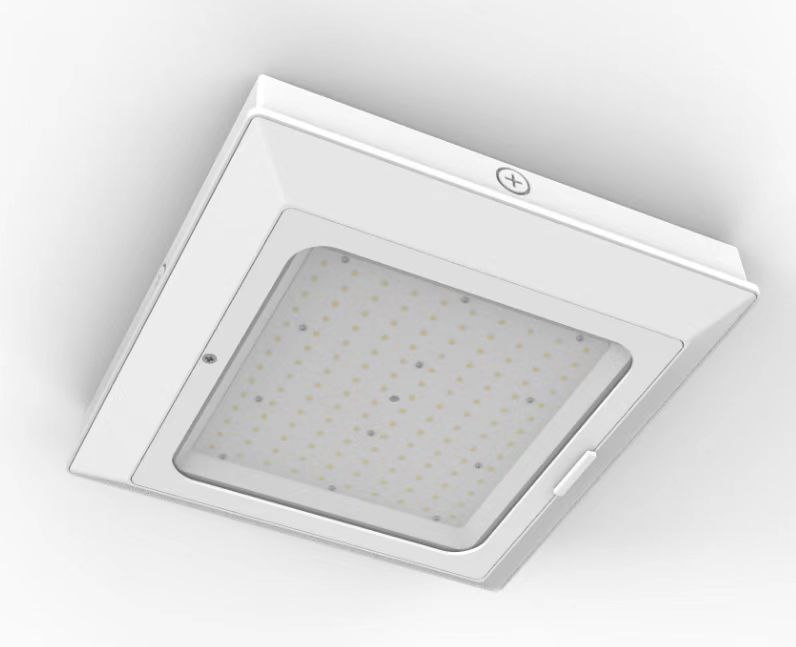 LED CANOPY FIXTURE (HERCULES GSR)