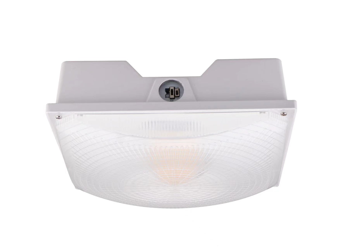 LED CANOPY / GARAGE FIXTURE (KODIAK G)