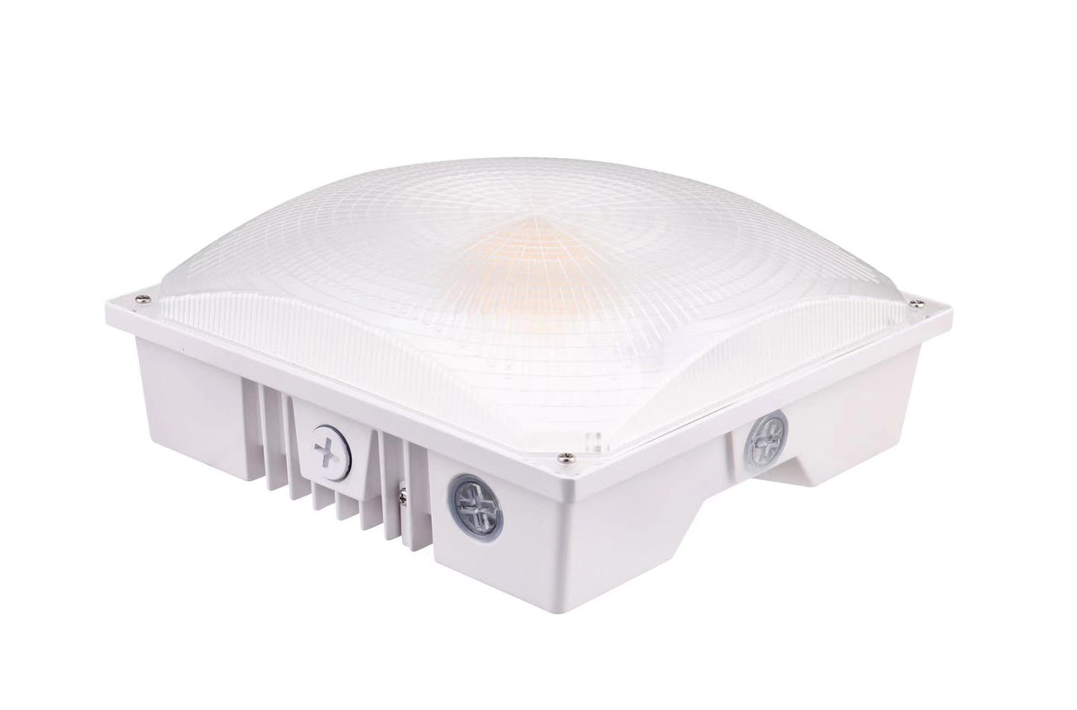 LED CANOPY / GARAGE FIXTURE (KODIAK G)