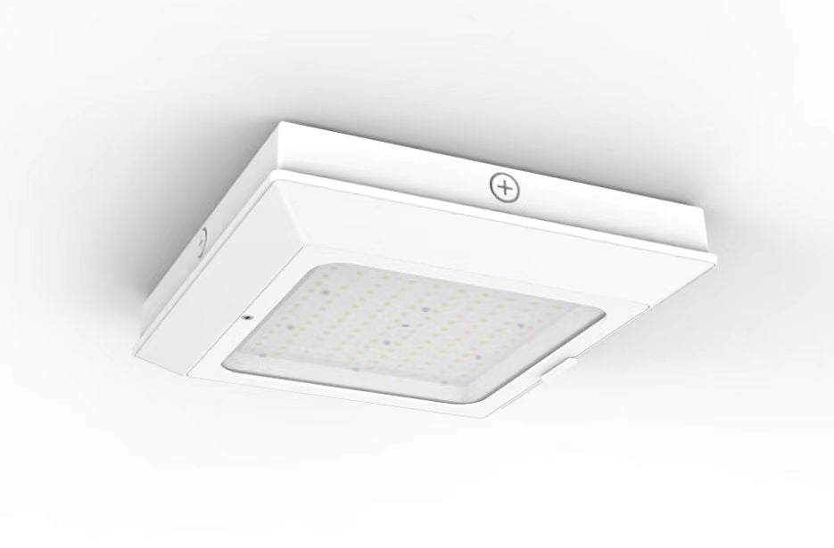 LED CANOPY FIXTURE (HERCULES GSR)