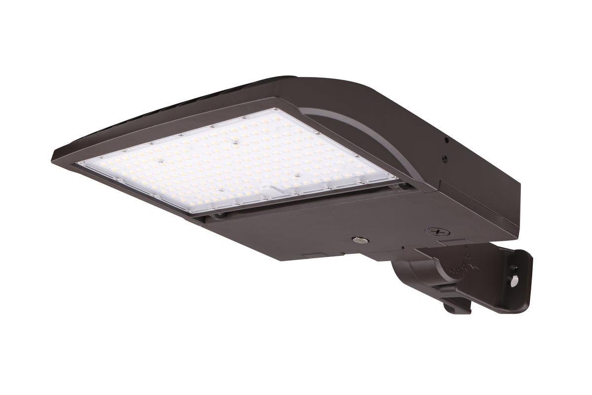 LED Area Light (LION SSR) for Powerful Outdoor Illumination
